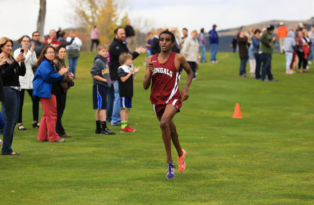 Bengals sweep; Olsen, Reed win individual titles