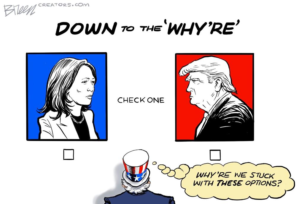 68 political cartoons recap the race for president