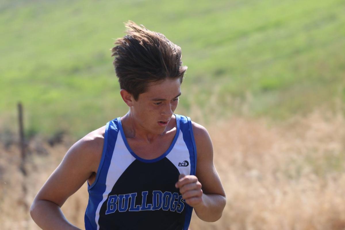 Perseverance pays off: Townsend's Jack Dolan named IR's All-Area Boys ...