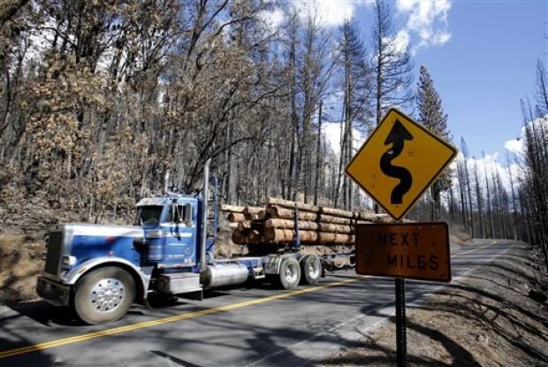 Daines’ plan calls for six-fold increase in Montana logging