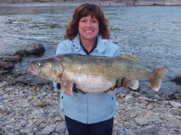From the Field: Terri Russell