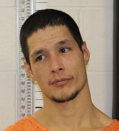 Helena man charged with felony partner or family member assault