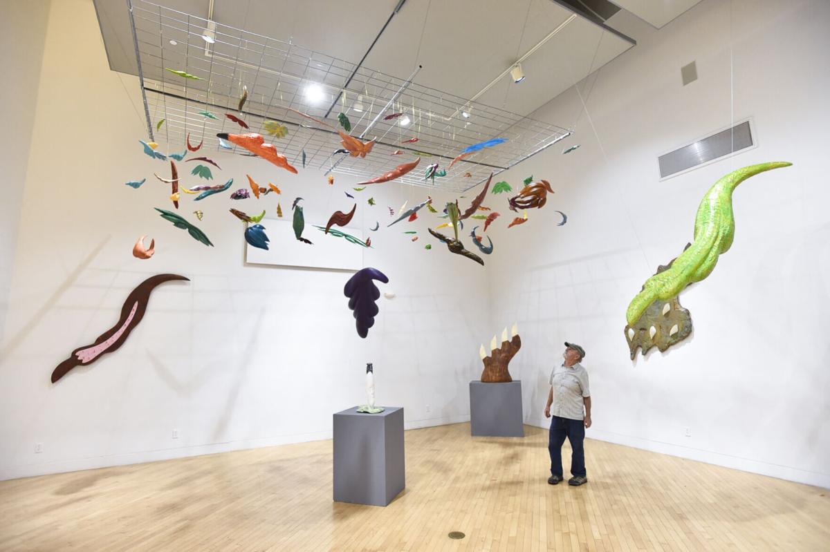 ‘Imagine This’: Chip Clawson opens new playful exhibit at the Holter