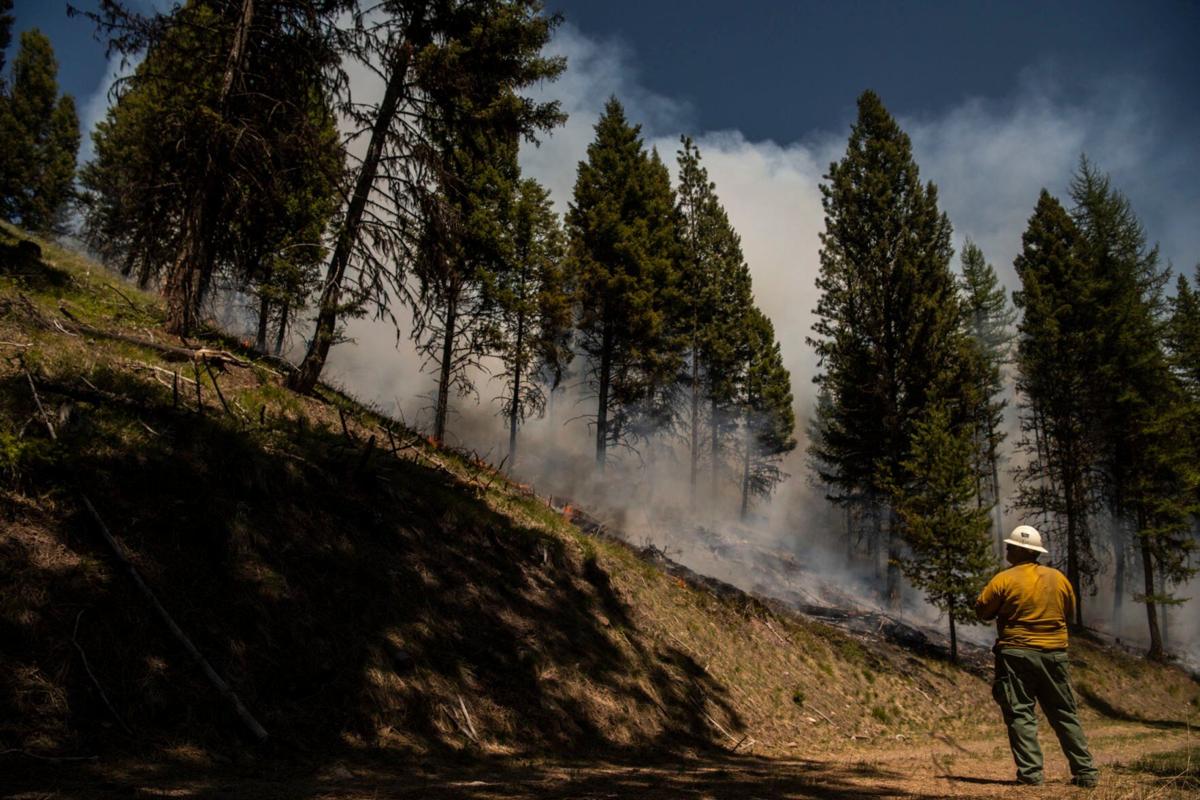 Forest Service to burn 300 acres in Mike Renig Gulch area