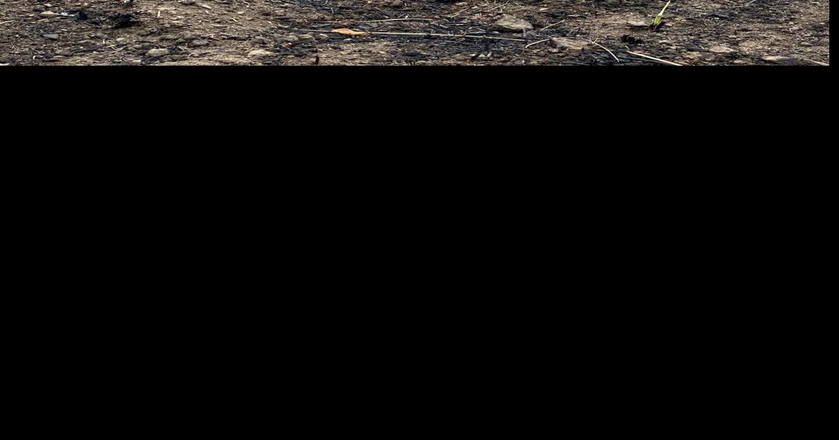 Evacuation orders rescinded for Harris Mountain fire near Cascade
