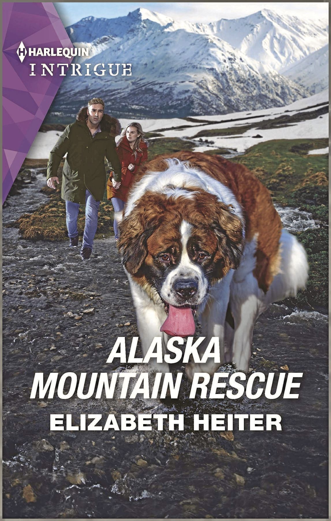 ‘Alaska Mountain Rescue’ by Elizabeth Heiter