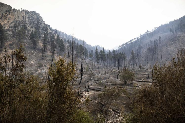 Horse Gulch fire nears full containment, growth settles