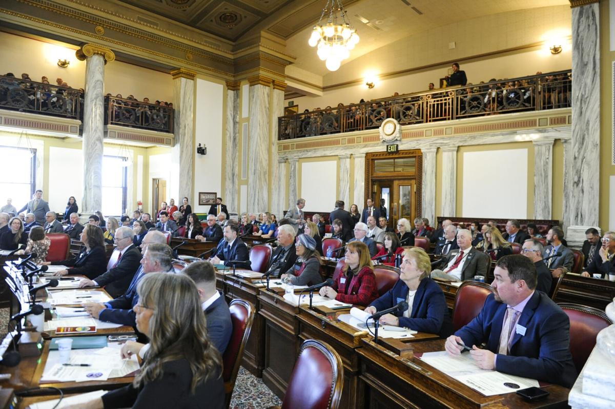 Sheila Hogan: Resolution for the new year: Focus first on Montanans