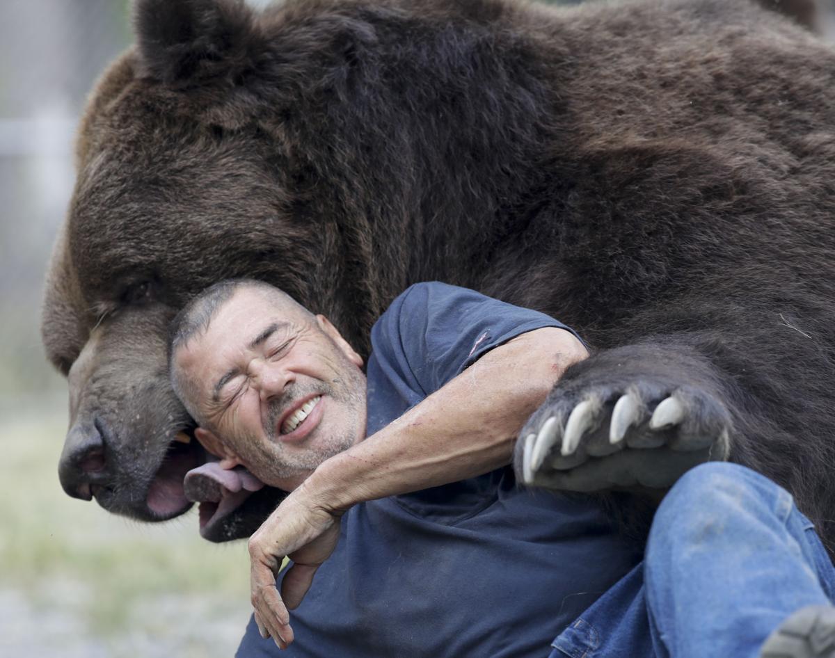 Nov. 7: Hug a Bear Day