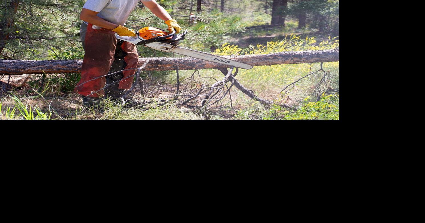 Fuel-reduction work helped suppress Helena-area blazes