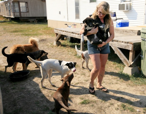 Billings woman passionate about placing reservation dogs in new homes