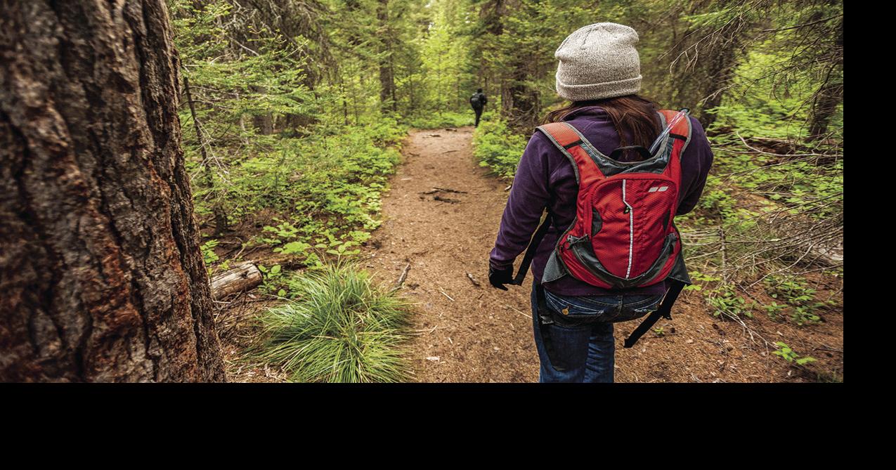 What is forest bathing?