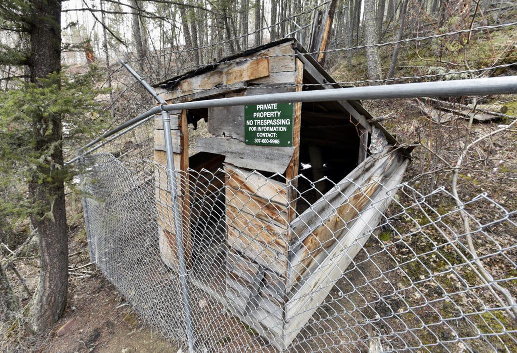 Photos: A look back at the Unabomber's arrest in Lincoln