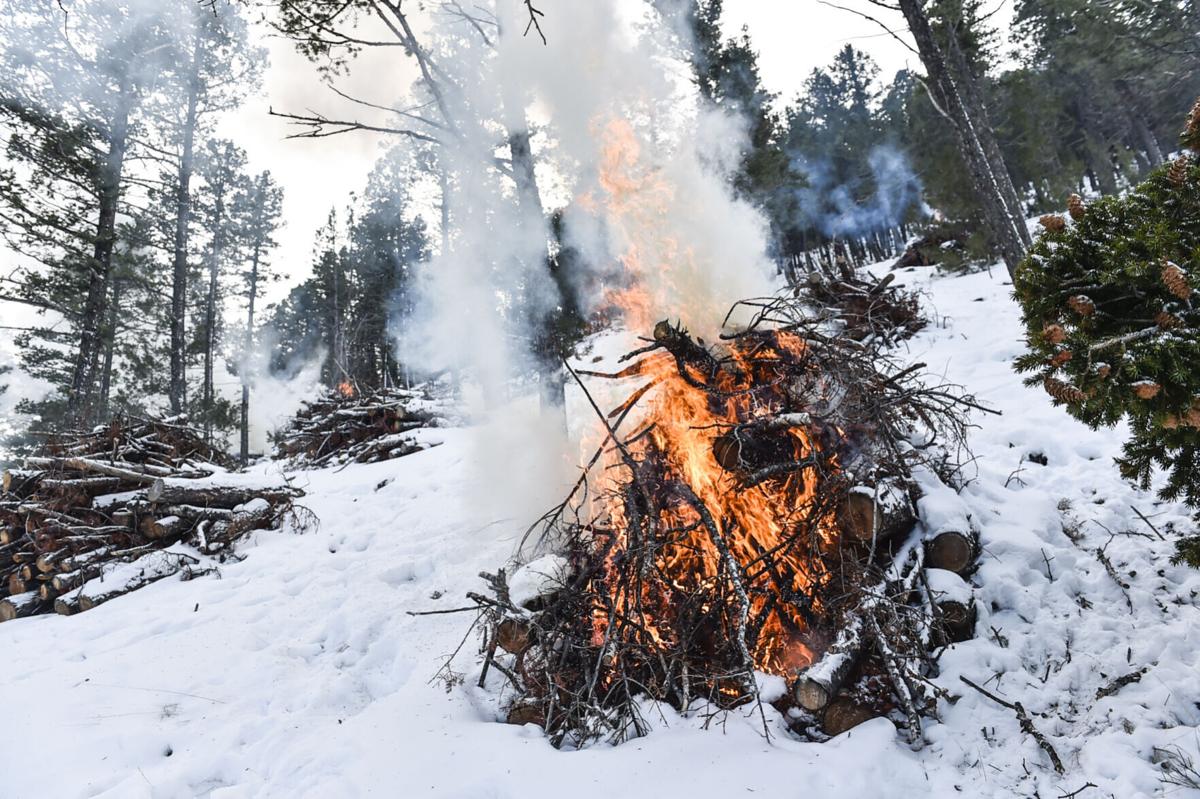 Prescribed burning planned this week on Mount Ascension near Helena