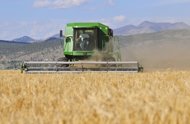 Joe Dooling, 20 under 40 winner, has spent a decade building his farm ...