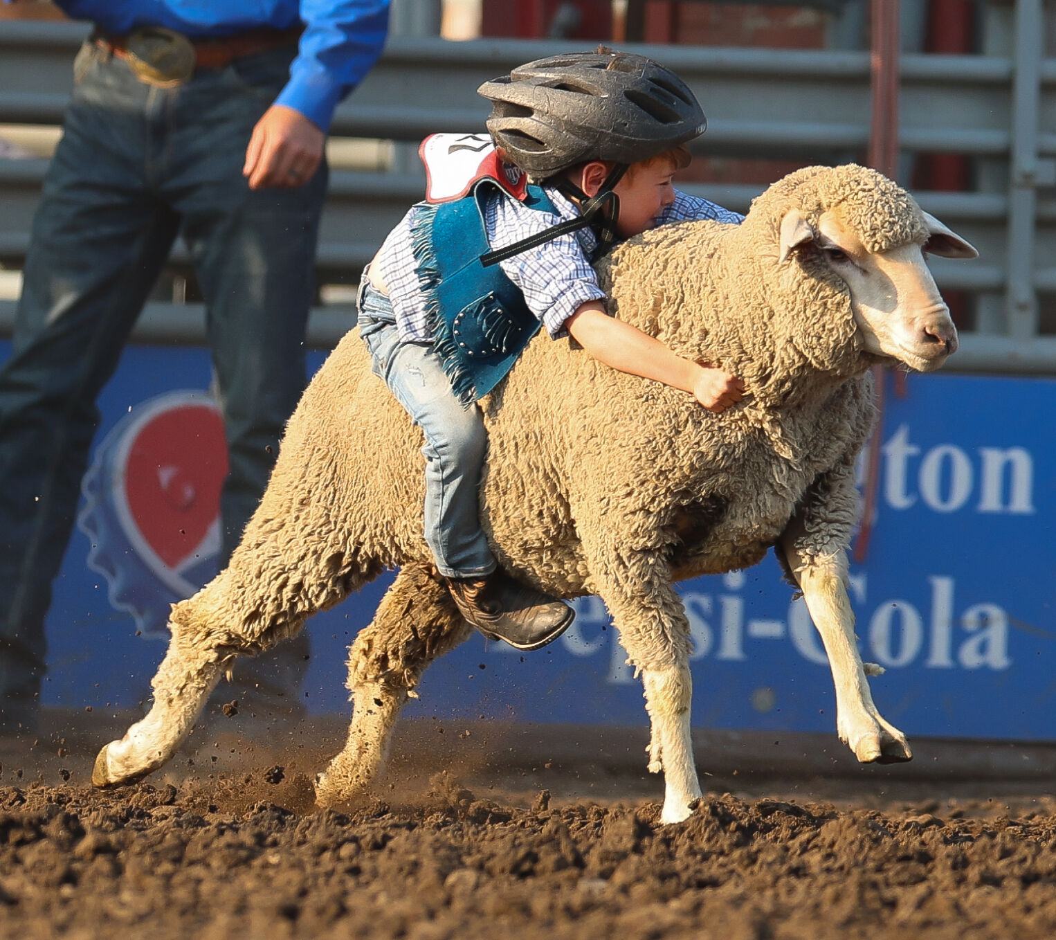 Your guide to the Last Chance Stampede and Fair
