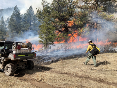 Forest Service plans prescribed burns in Helena area