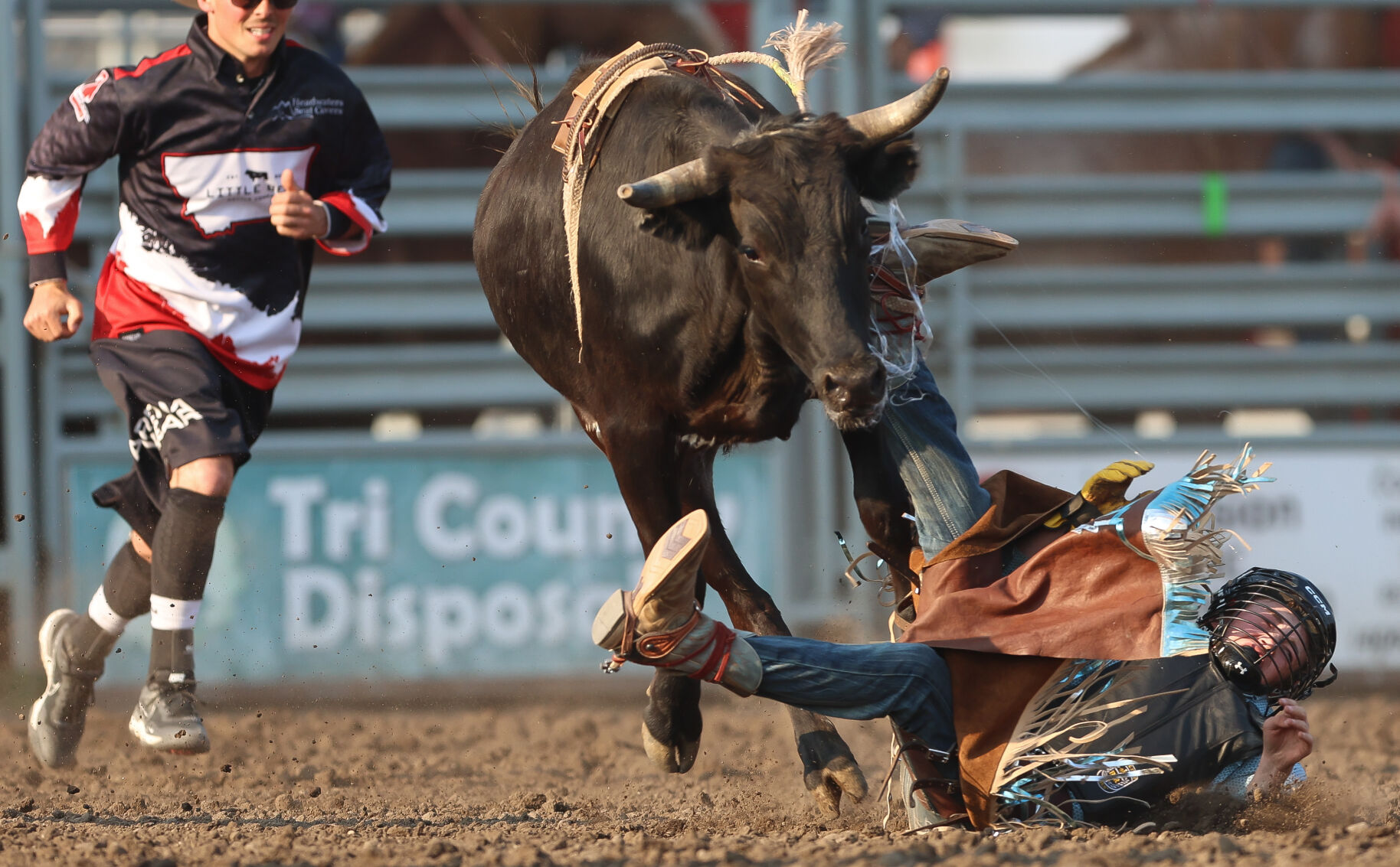 Your guide to the Last Chance Stampede and Fair