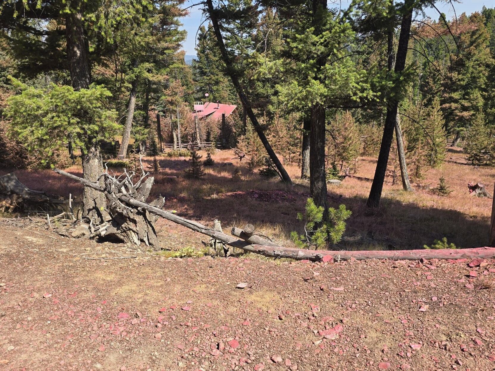 Latest updates on Windy Rock fire in Powell County