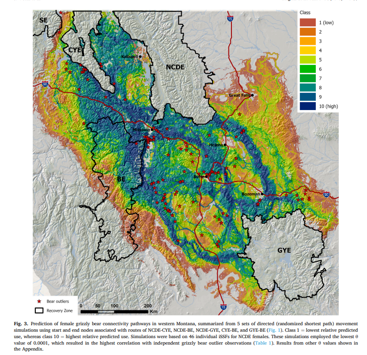 Where will bears be next? Study projects Grizzly movements
