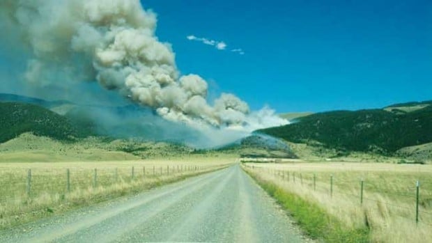 Lightning-caused Antelope Fire at 462 acres