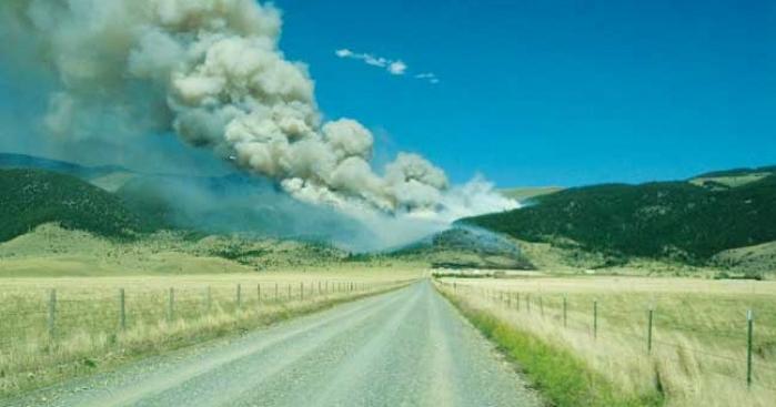 Lightning-caused Antelope Fire at 462 acres