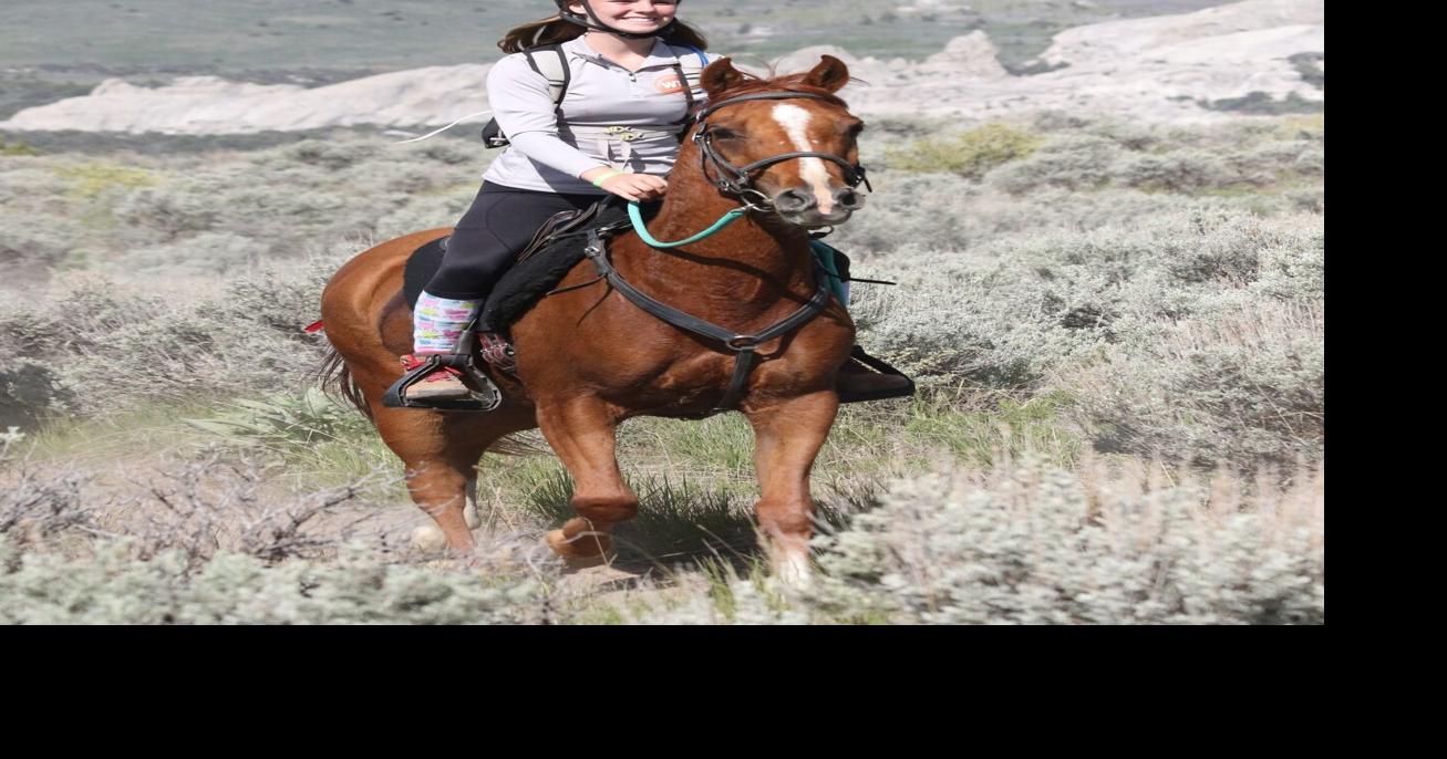 Equine endurance ride set for this weekend north of Helena