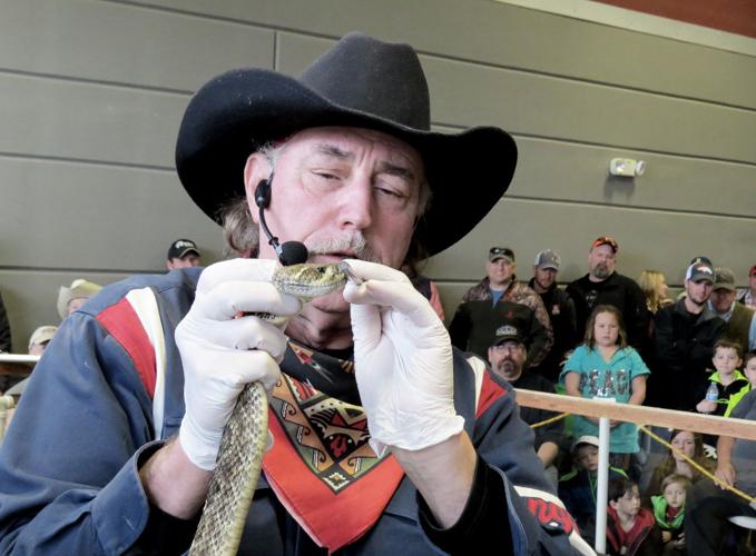 Rattlesnake wrangler: Dave Richardson brings West Texas snakes to crowd ...