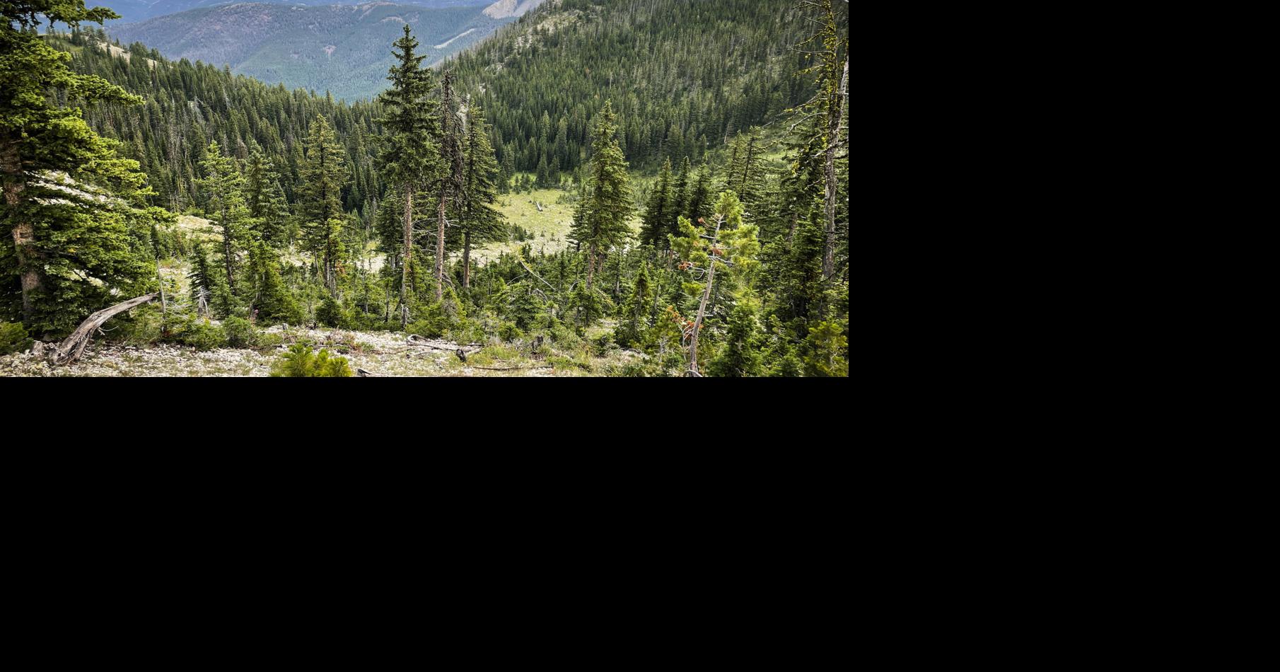 Helena-Lewis and Clark National Forest releases new forest plan
