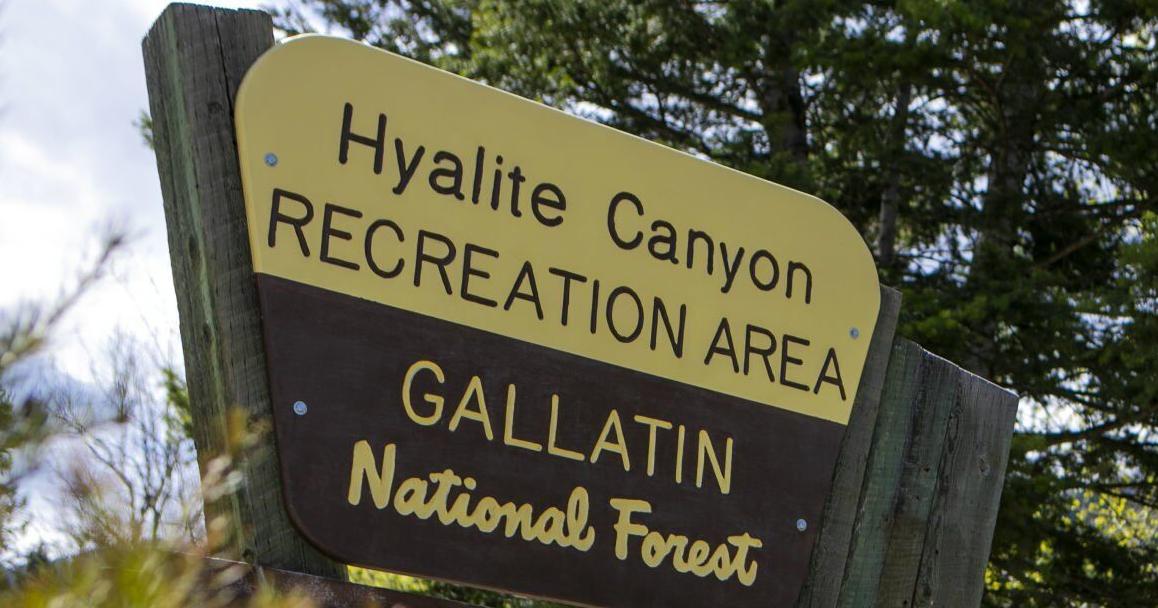 Wood pallets banned from Custer Gallatin National Forest