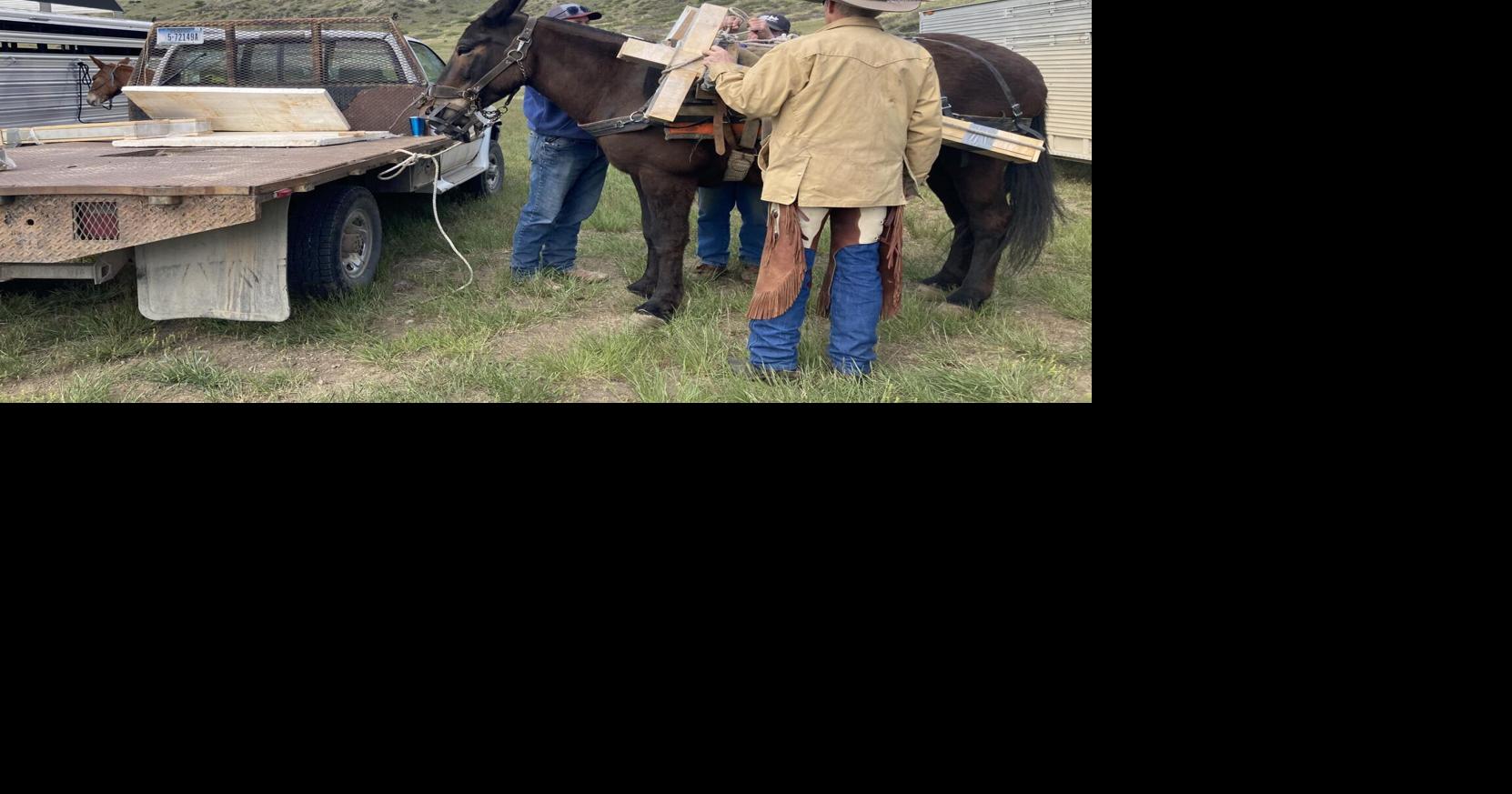 Mann Gulch smokejumper monuments replaced