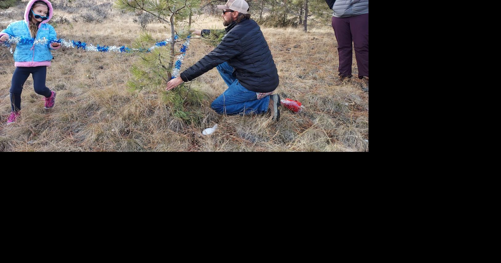 Families decorate trees on Mount Helena