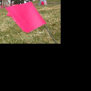 Flags for the fallen