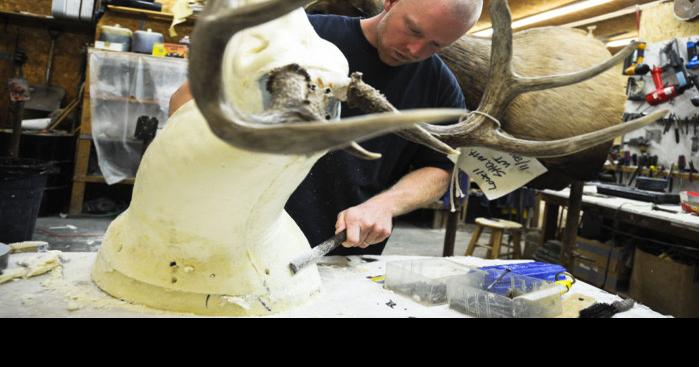 From the field to the wall: The art of taxidermy | Local | helenair.com