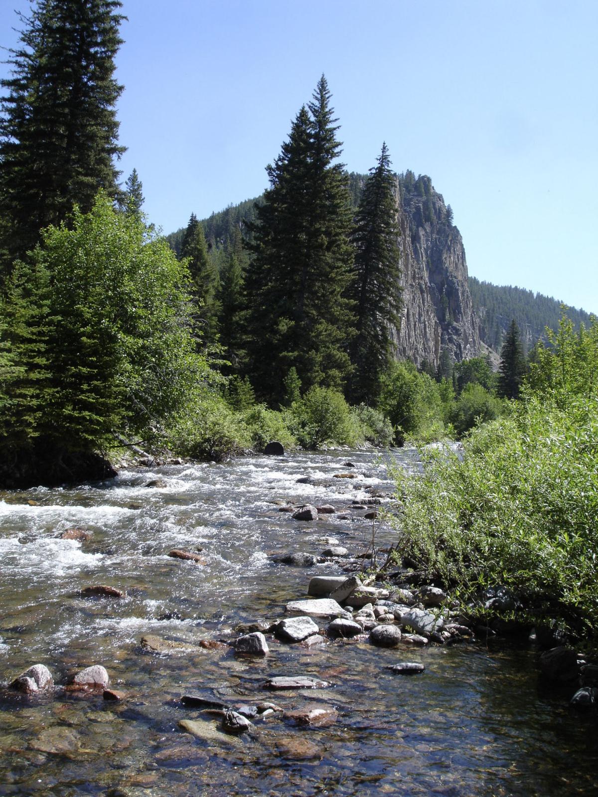 Photos: Tenderfoot Creek in the Lewis and Clark National Forest