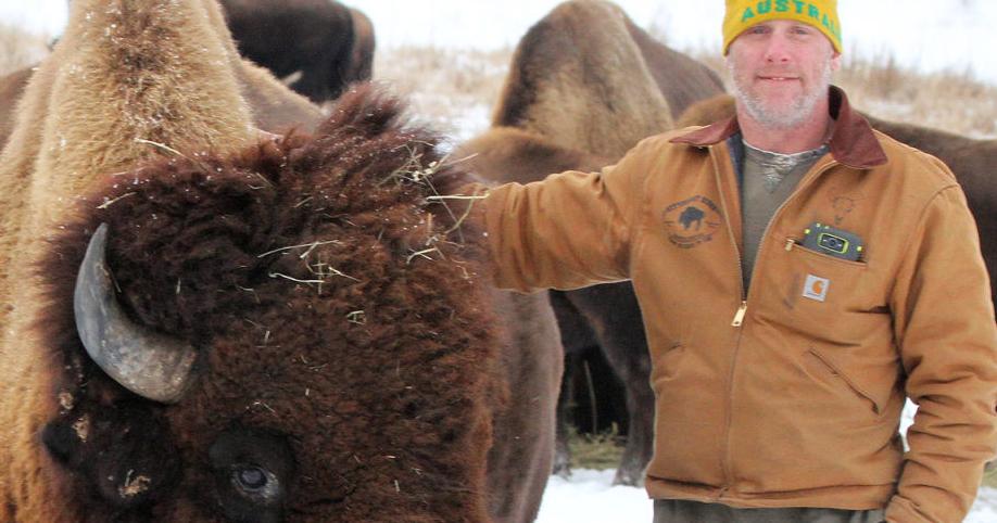 Where the bison roam: Bitterroot Bison sees growing demand