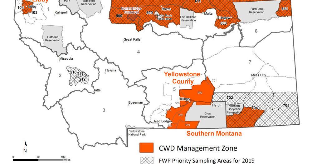 What you need to know about CWD in Montana