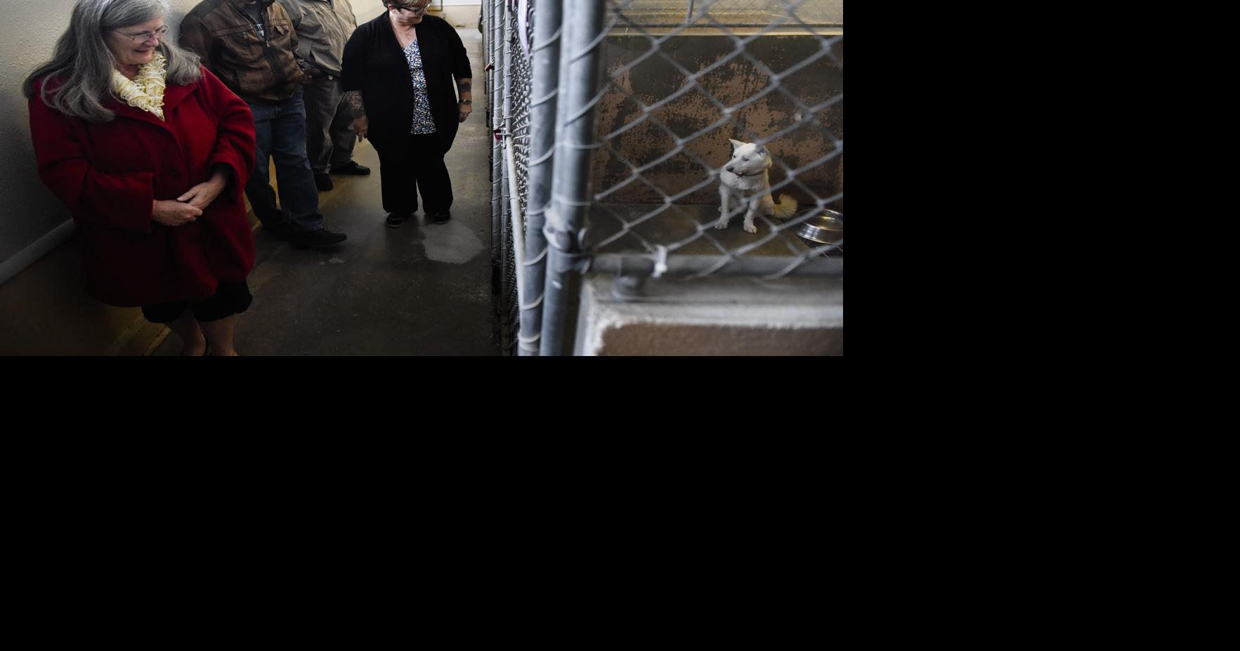 Helena couple donates 100k to animal shelter