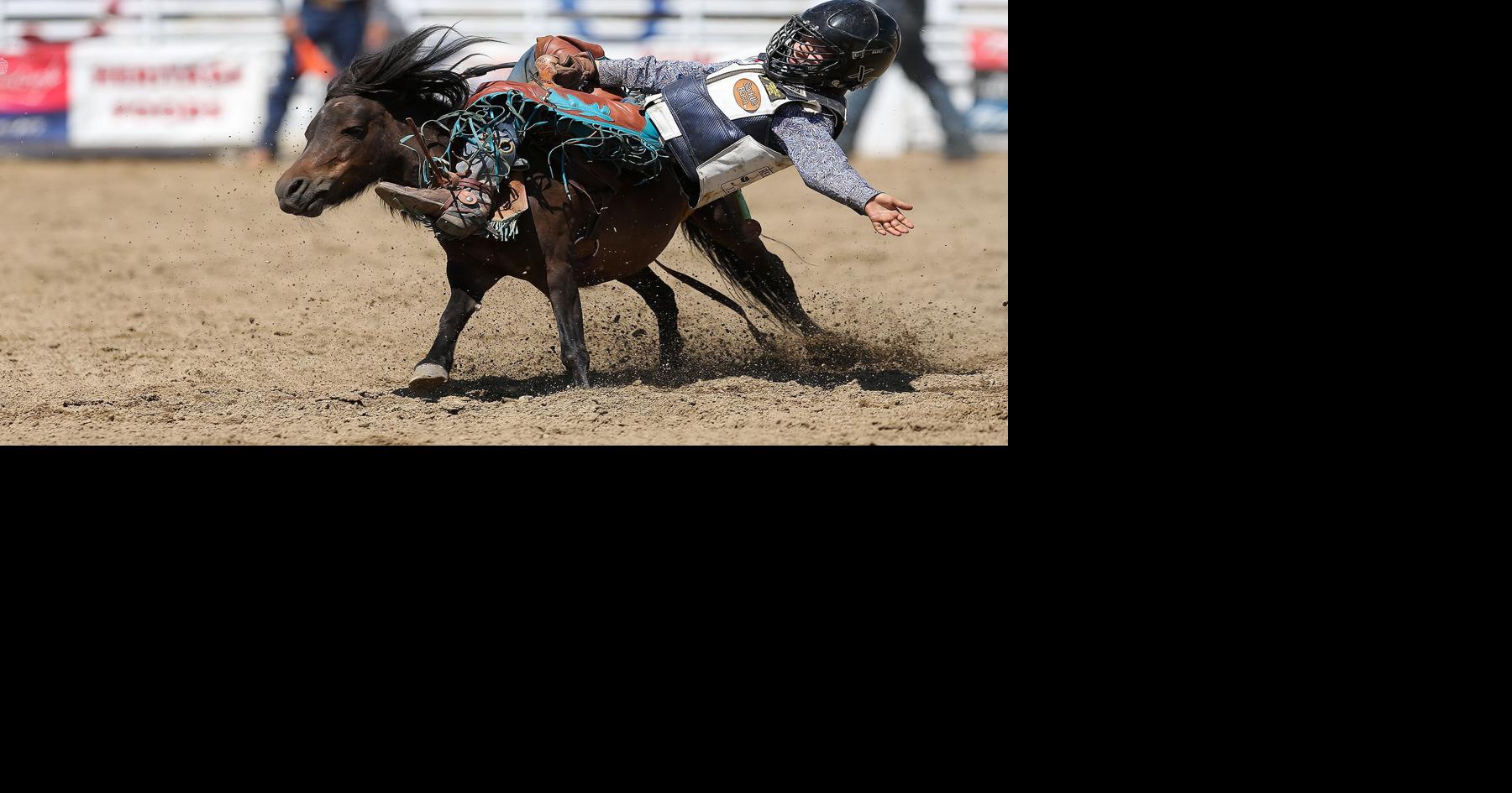 East Helena Rodeo 406 Mini Buckers winners