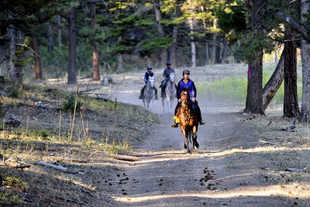 Gallery: Endurance Horse Racing | Outdoors | helenair.com