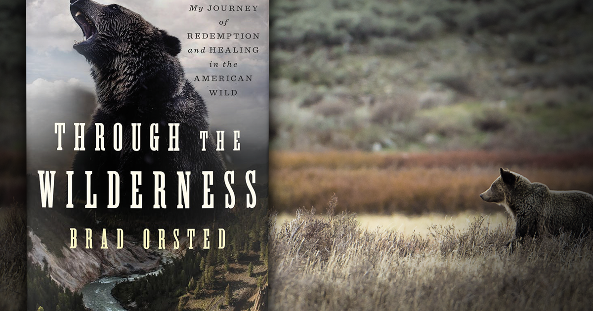 Book chronicles redemption, healing in Yellowstone country