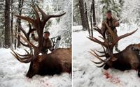 Brooks bull is new archery world record non-typical elk