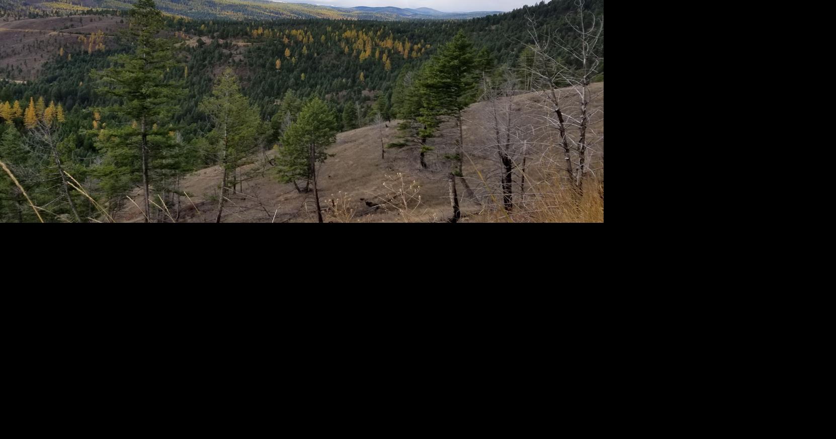 Spring prescribed burning across Lolo National Forest