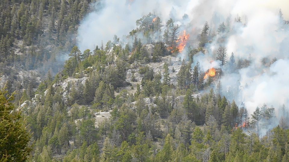 Forest Service prescribed burning near York this weekend