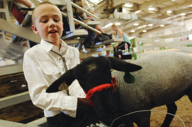 Behind the 4-H show at the fair, is months of preparation — one family ...