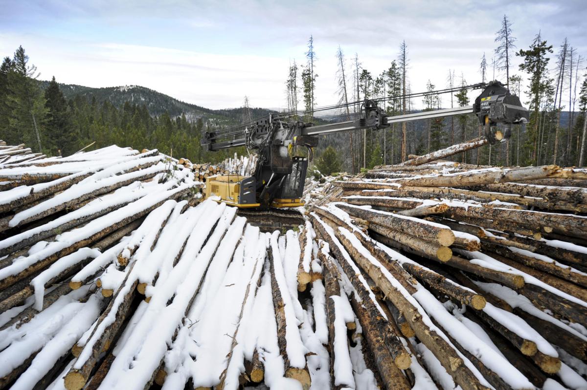 Logs flow from Elliston-area timber project as legal appeal looms