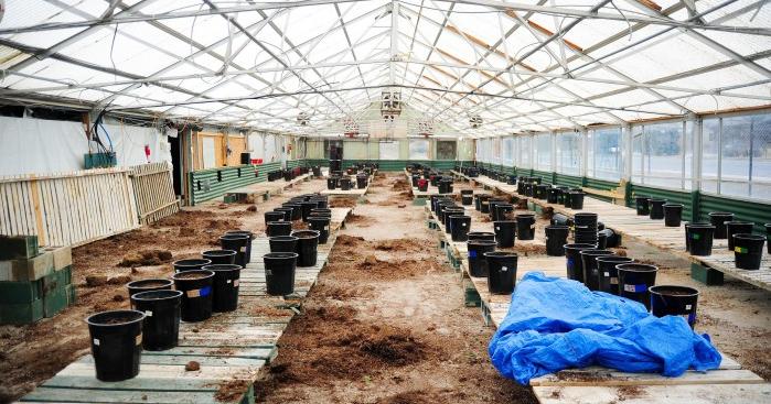 Claim: Feds caused $75K damage in pot raid