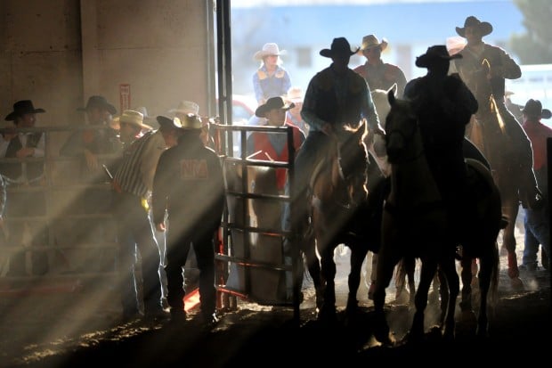 Bignell wins steer wrestling on first night of Big Sky Region rodeo ...