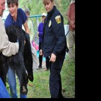 Ursa major shock for Helena families