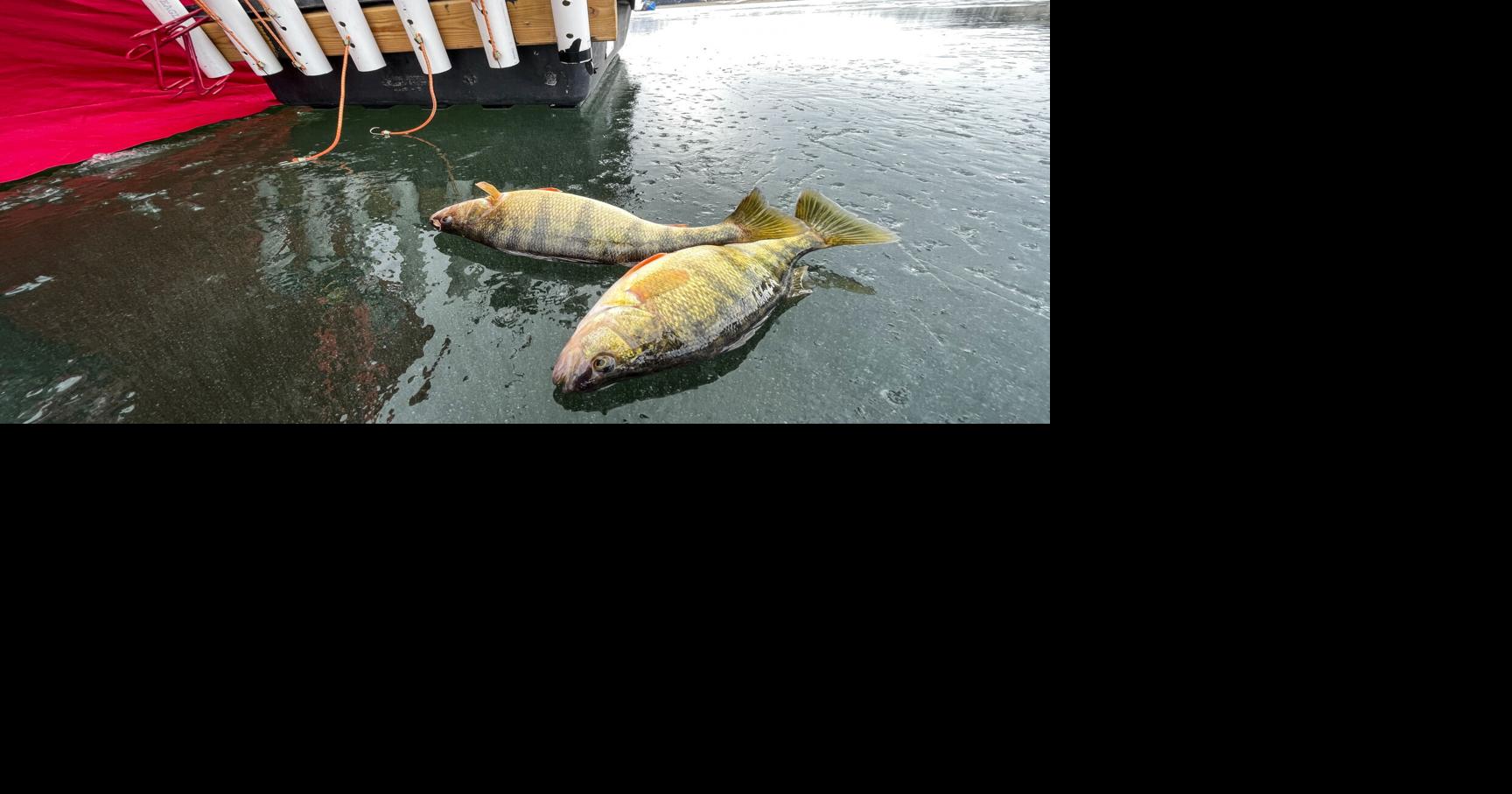 Helena-area fishing report